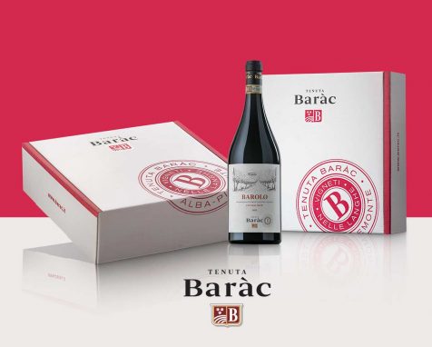 MSM Digital Daria Benedetto - MSM Digital - Daria Benedetto